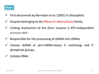 RNA Interference (RNAi) | PPTX