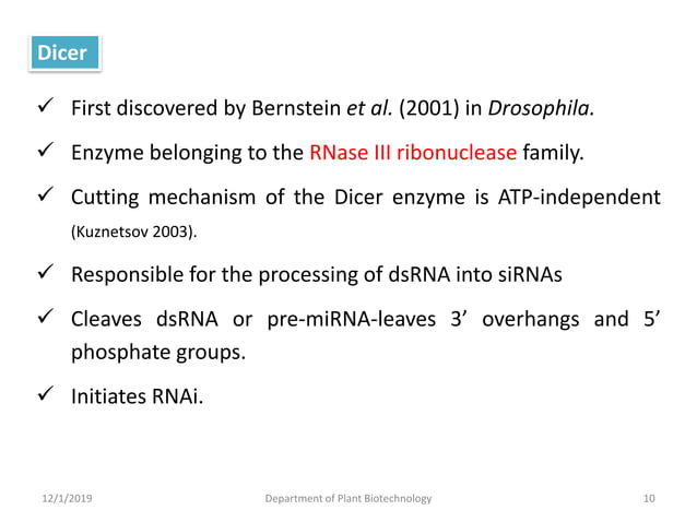 RNA Interference (RNAi) | PPTX