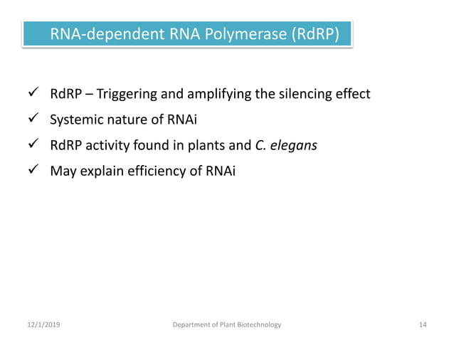 RNA Interference (RNAi) | PPTX