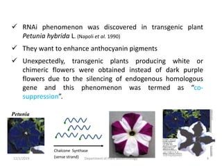 RNA Interference (RNAi) | PPTX