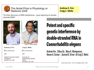 RNA Interference (RNAi) | PPTX