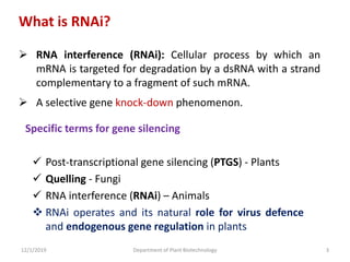 How Does Rnai Work