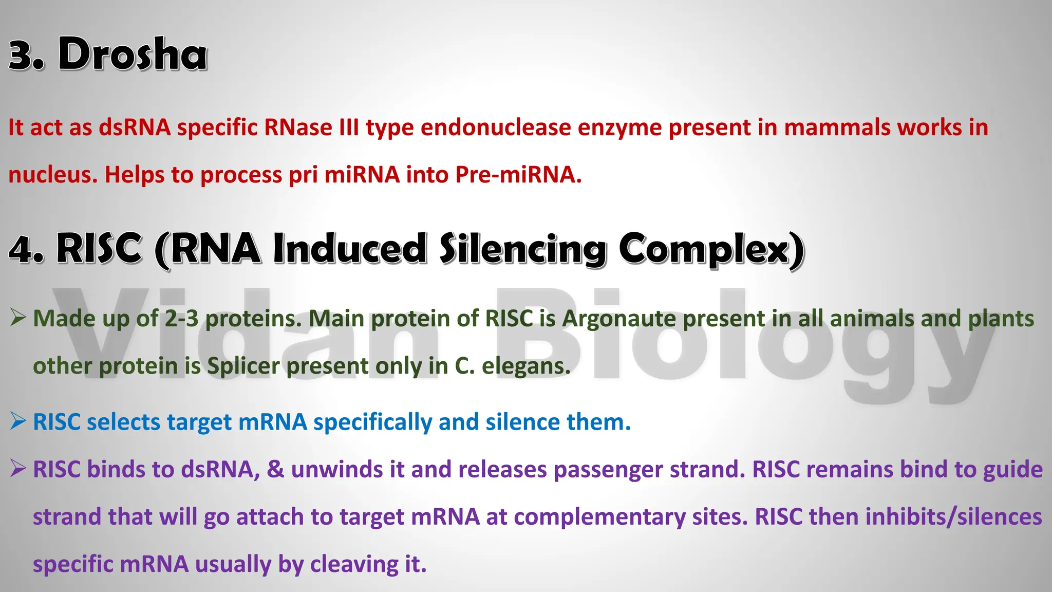 RNA Interference | PDF