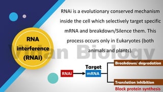 RNA Interference | PPT