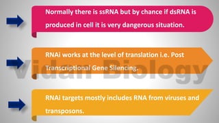 RNA Interference | PPT