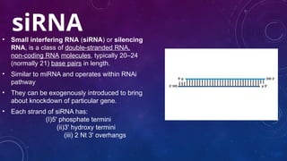 RNAi.pptx kkfvlvsn lnvklklmvklmkmklmkkkk | PPTX
