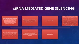 RNAi.pptx kkfvlvsn lnvklklmvklmkmklmkkkk | PPTX