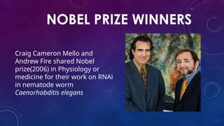 RNAi.pptx kkfvlvsn lnvklklmvklmkmklmkkkk | PPT