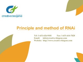 Principle and method of RNAi-Creative Biogene | PPT