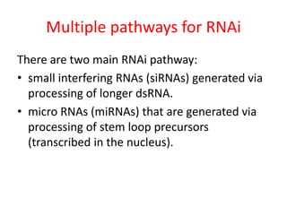 RNAi (RNA interference/ Gene Silencing) and its importance | PPT