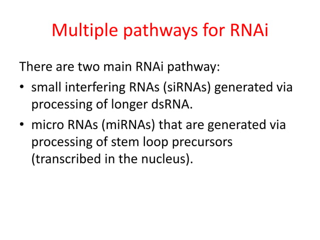 RNAi (RNA interference/ Gene Silencing) and its importance | PPTX ...