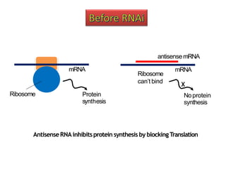 RNAi (RNA interference/ Gene Silencing) and its importance | PPT
