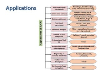 RNAi (RNA interference/ Gene Silencing) and its importance | PPT