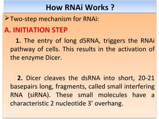 RNA interference (RNAi):A therapeutic strategy for aquaculture | PPT
