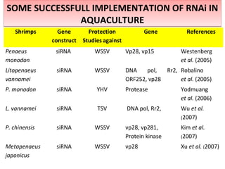 RNA interference (RNAi):A therapeutic strategy for aquaculture | PPT