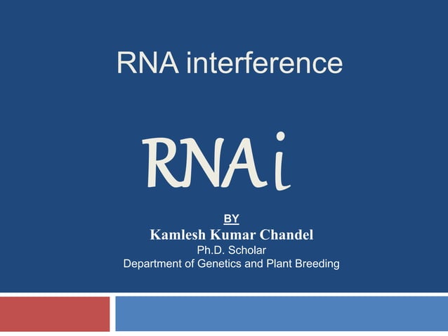 RNA interference (RNAi) | PPSX | Programming Languages | Computing