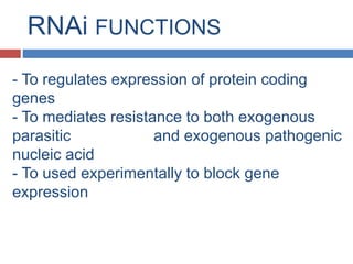 RNA interference (RNAi) | PPSX