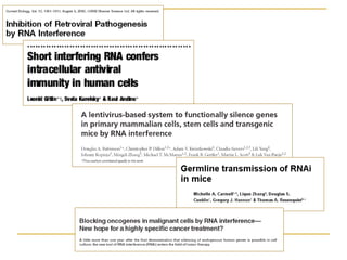 RNA interference (RNAi) | PPSX