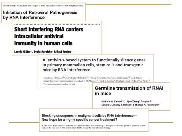 RNA interference (RNAi) | PPSX | Programming Languages | Computing