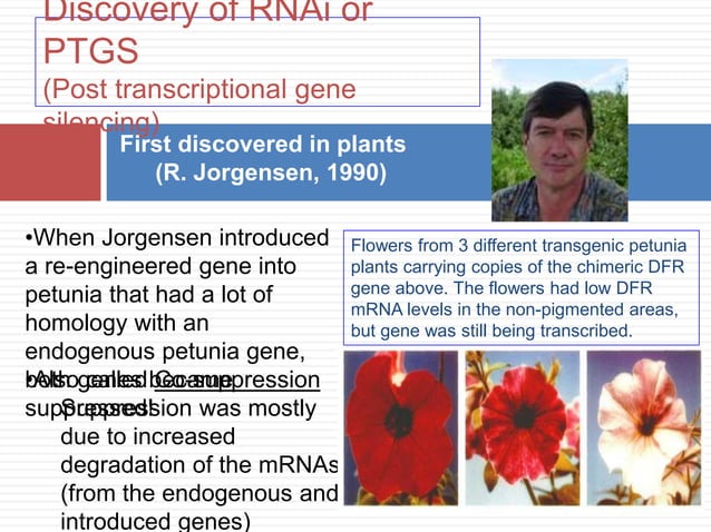 RNA interference (RNAi) | PPSX | Programming Languages | Computing
