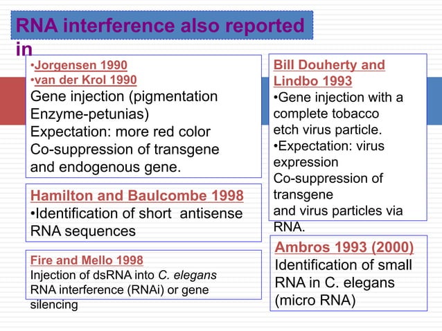 RNA interference (RNAi) | PPSX | Programming Languages | Computing