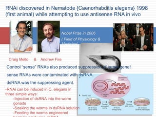 RNA interference (RNAi) | PPSX