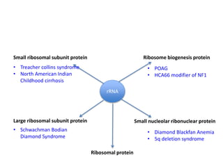 Rna and truncated form in health and diseases | PPT