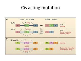 Rna and truncated form in health and diseases | PPT