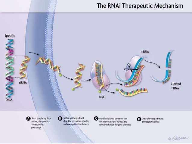 Rna interference