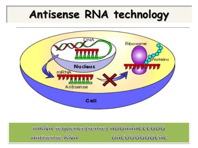 Rna interference