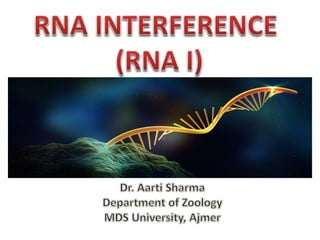 Rna interference | PPT