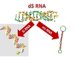 Rna interference | PPTX