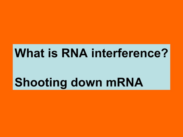 Rna interference | PPT