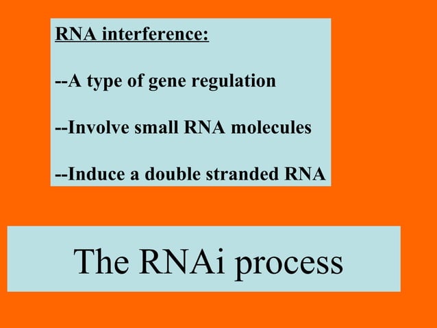Rna interference | PPT