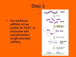 Rna interference | PPT