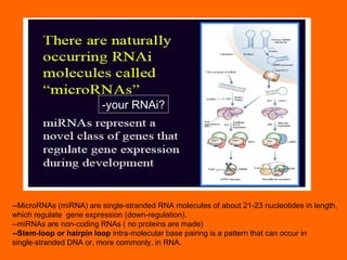 Rna interference | PPT