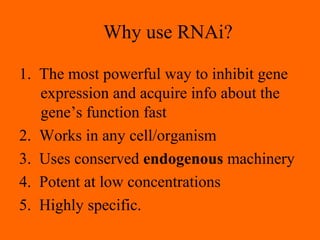 Rna interference | PPT