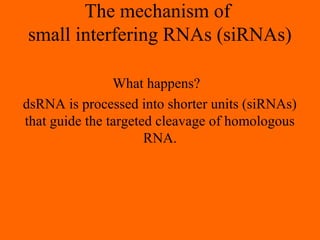 Rna interference | PPT