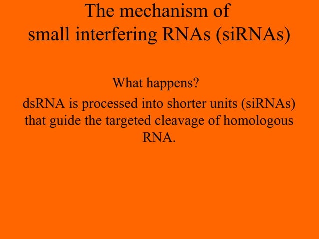 Rna interference | PPT