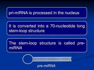 Rna interference | PPT