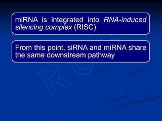 Rna interference | PPT