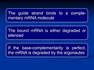 Rna interference | PPT