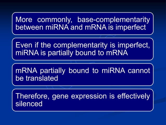 Rna Interference Ppt