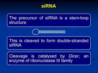 Rna interference | PPT