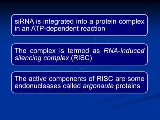Rna interference | PPT