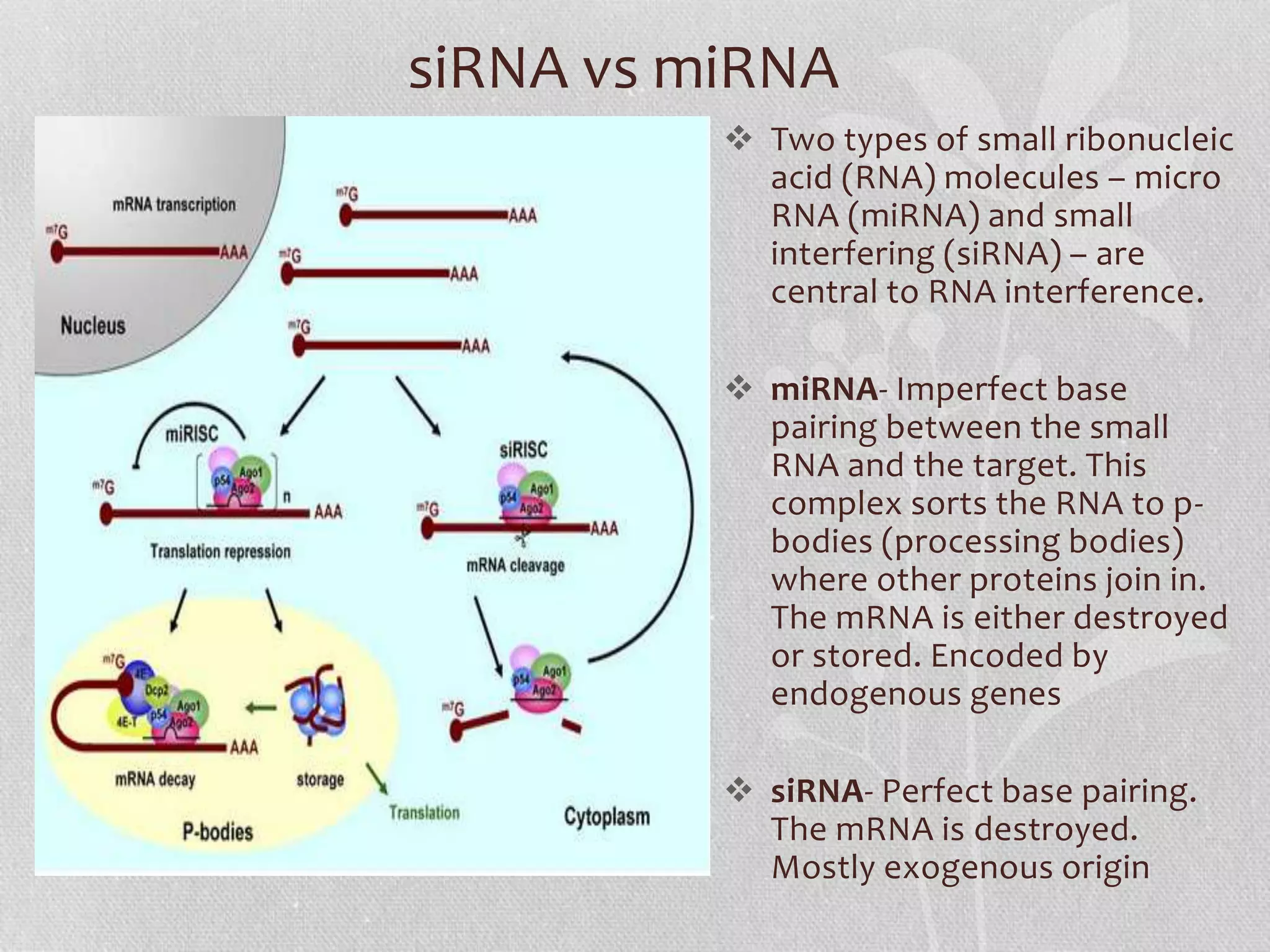 Rna interference | PPTX