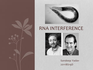 Rna interference | PPTX
