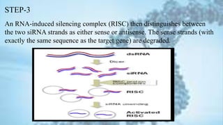 Rna interference | PPTX