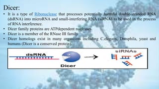 Rna interference | PPTX