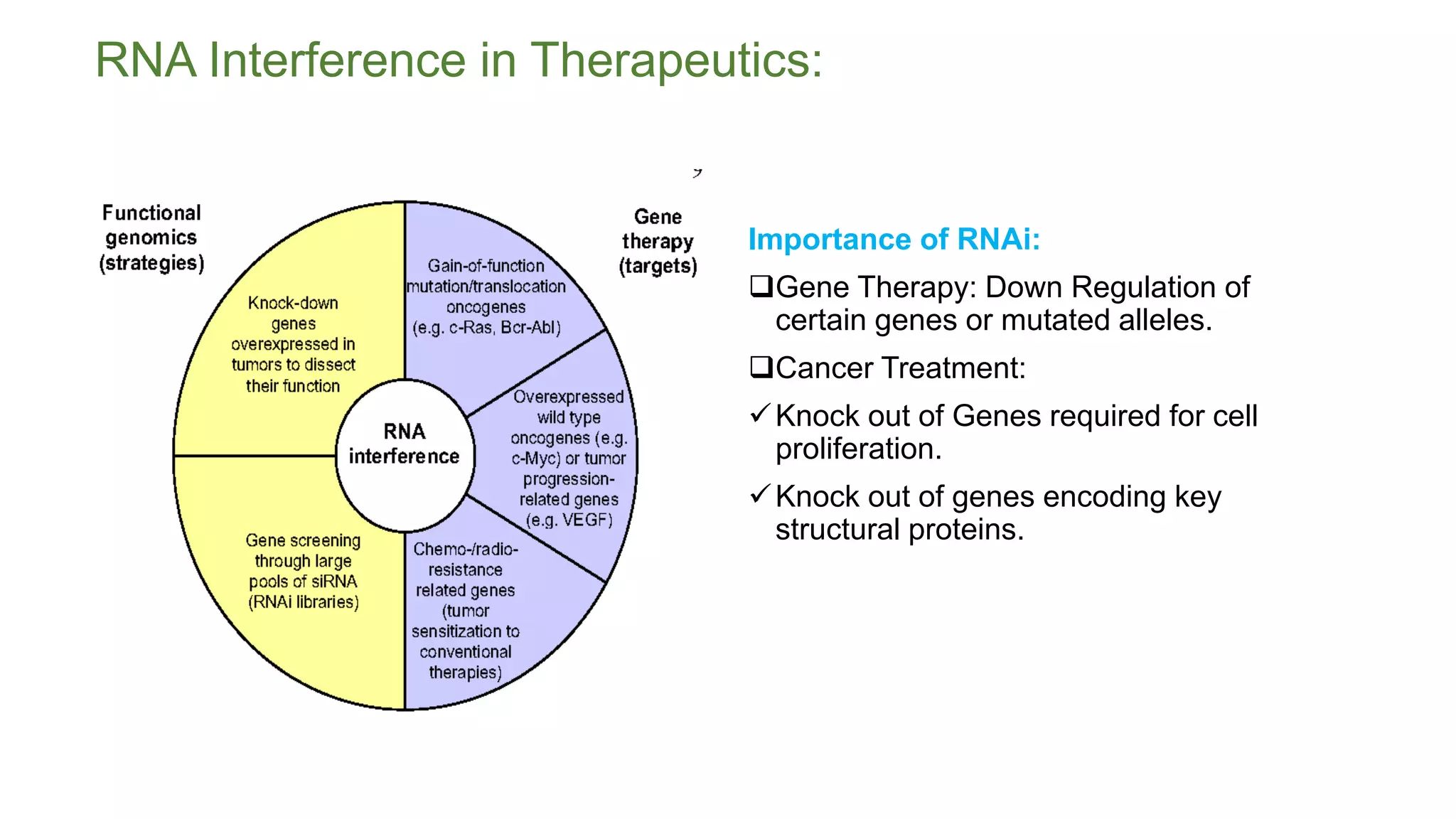 RNA Interference.pptx
